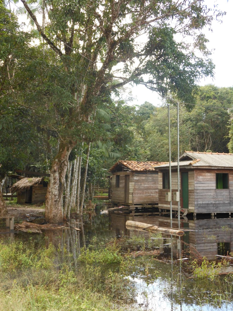 Gurupá aan de Amazone
